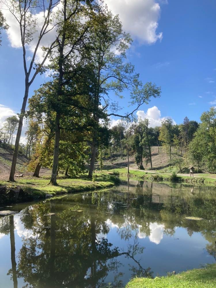 Parc du Castel | Parcs et Jardins de Wallonie