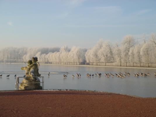 Parc du Château de Beloeil | Parcs et Jardins de Wallonie