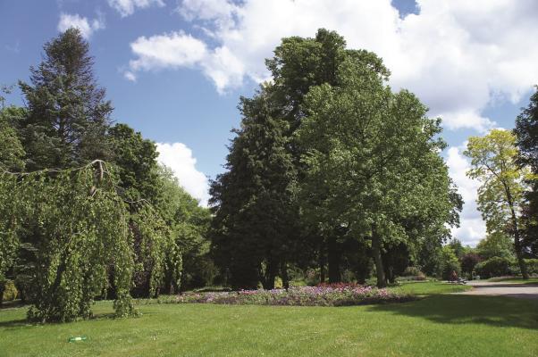 Parc de Cointe (Liège) | Parcs et Jardins de Wallonie