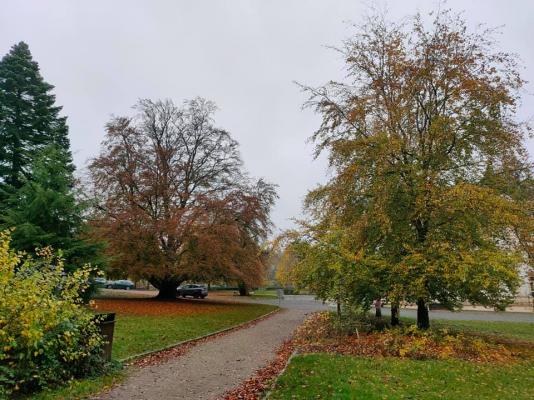 Parc communal du Châtelet | Parcs et Jardins de Wallonie