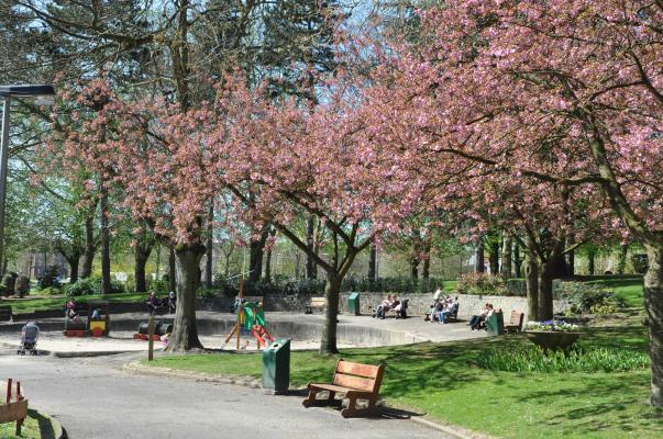 Parc communal de Mouscron | Parcs et Jardins de Wallonie