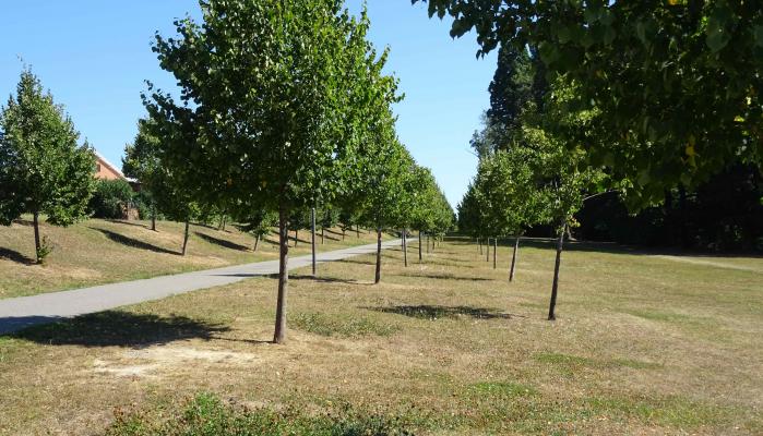 Parc Saint-Roch | Parcs et Jardins de Wallonie