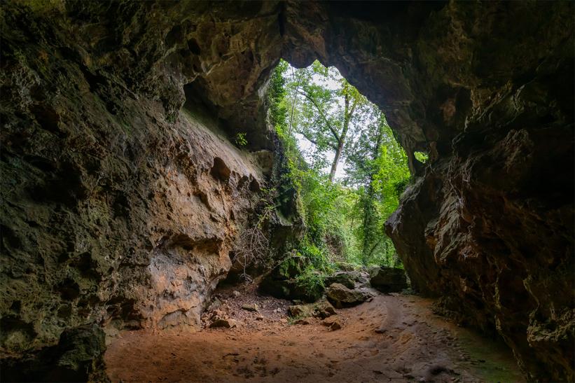 Réserve naturelle de Furfooz | Parcs et Jardins de Wallonie